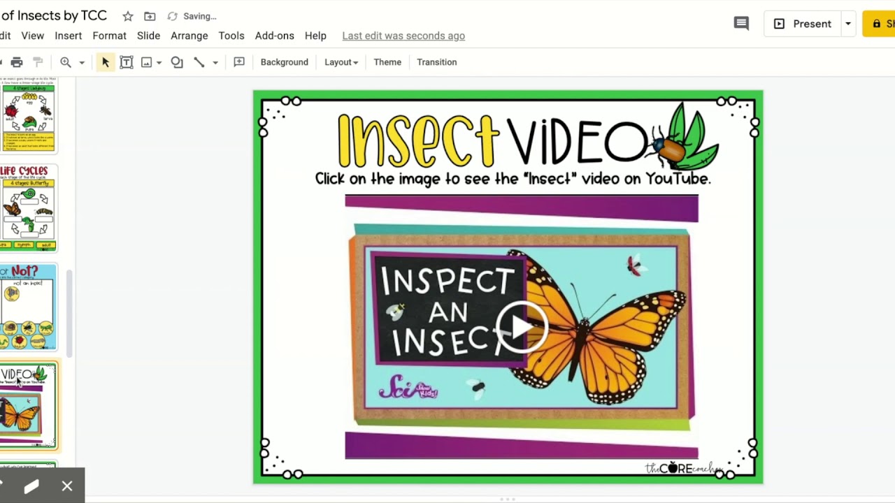 Insects classroom research activities by the Core Coaches