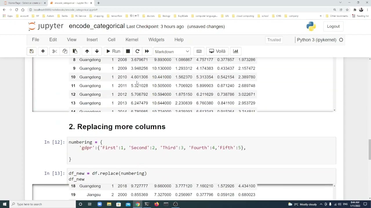 How to encode categorical variables in Python