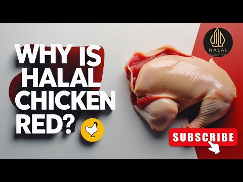 Why Is Halal Chicken Red? | Halal Slaughter Process Explained