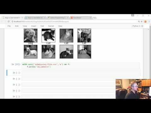 Learn Using our Network Using Convolutional Neural Network to Identify ...
