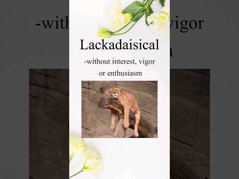 Word of the Day : Lackadaisical #shorts #synonyms #antonyms #english #vocabulary