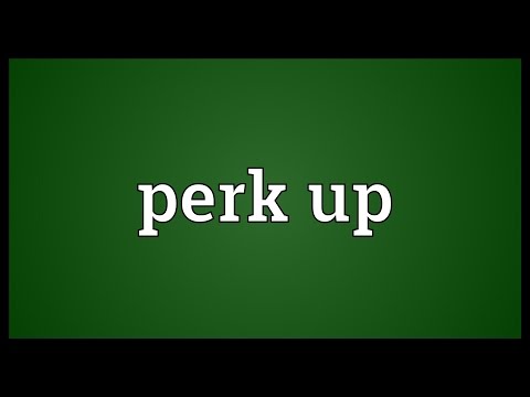 Perk up Meaning