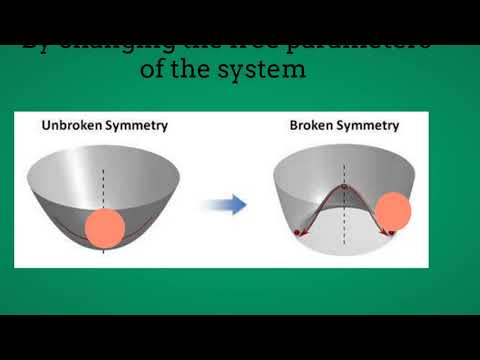 Spontaneous Symmetry Breaking in physics