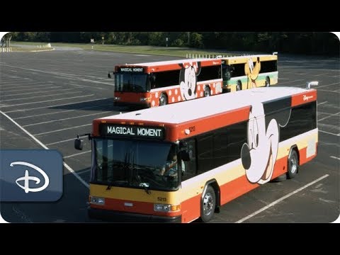 Six New Bus Designs Arriving at Walt Disney World