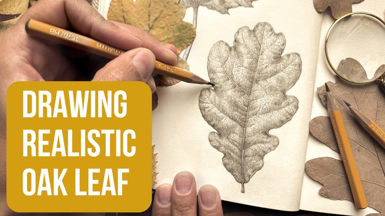 How to Draw a Realistic Autumn Oak Leaf (Graphite Pencil Shading Tutorial for BEGINNERS)