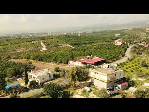 MERSİN tece. Hyperlapse. Мерсин район Тедже сады. гиперлапс