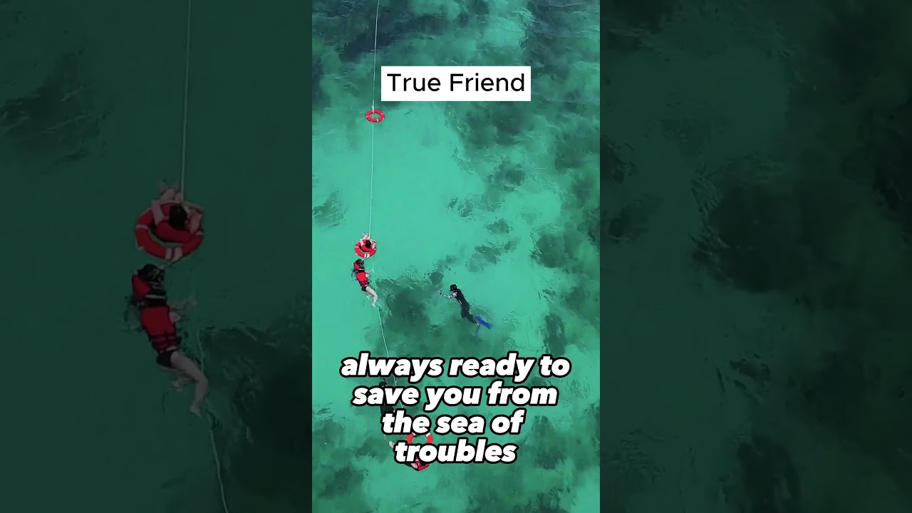 #shorts  True Friends vs. Crocodile Foes: Understanding Trust and Betrayal