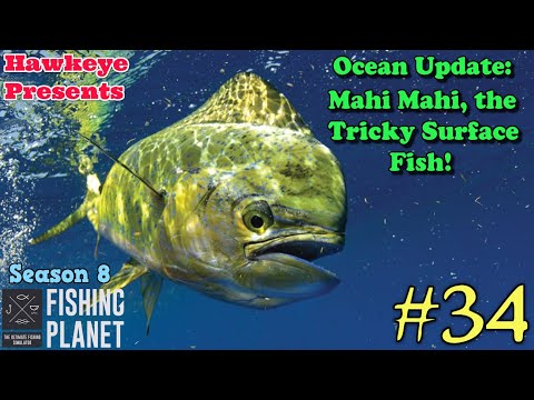 Steam Community :: Video :: Fishing Planet #34 - S8 - Ocean Update ...