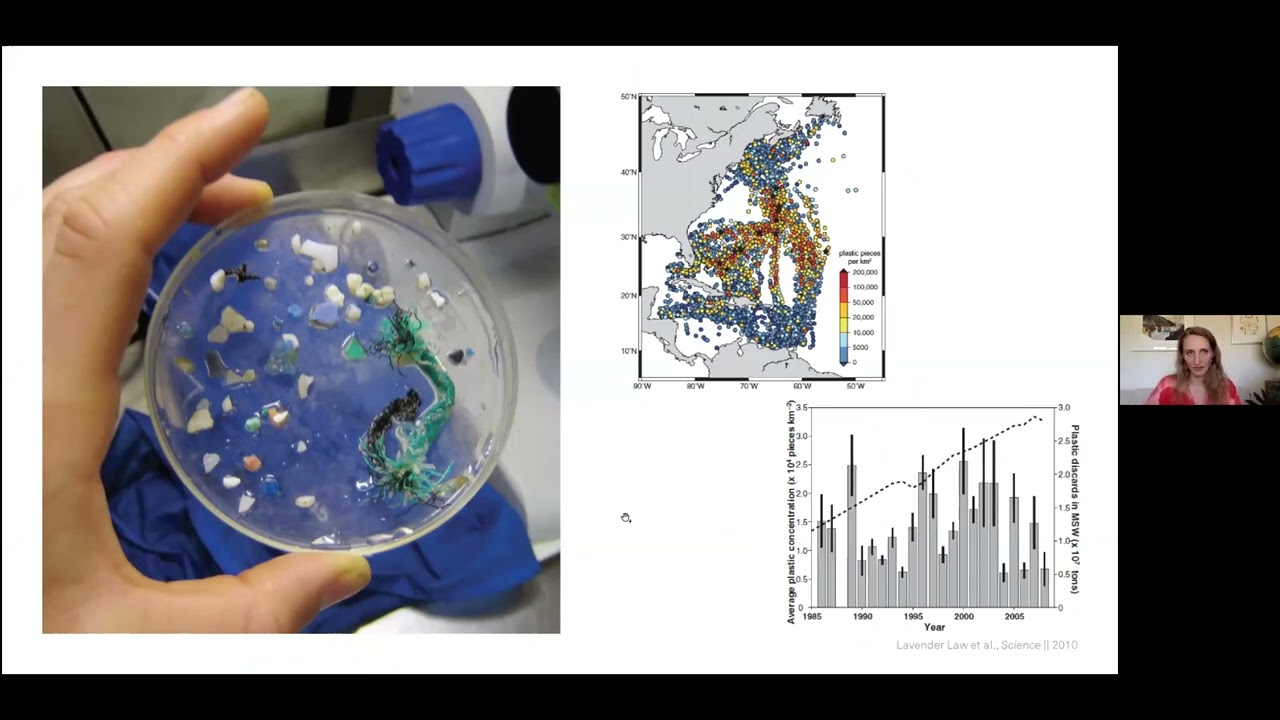 Data Visualization as Visceralization