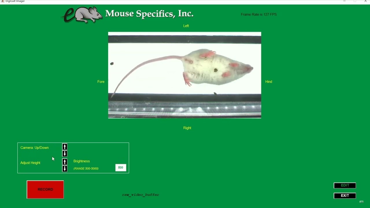 DigiGait Imager: Setup
