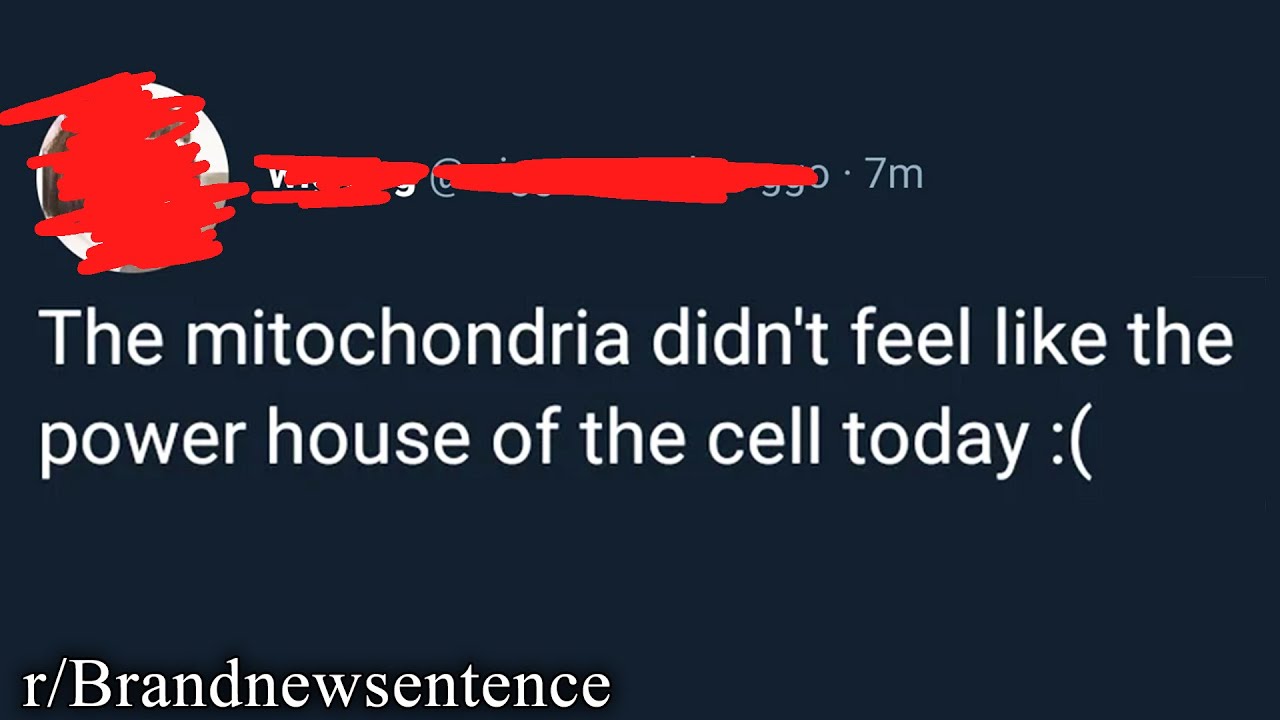 r/Brandnewsentence | this is so relatable