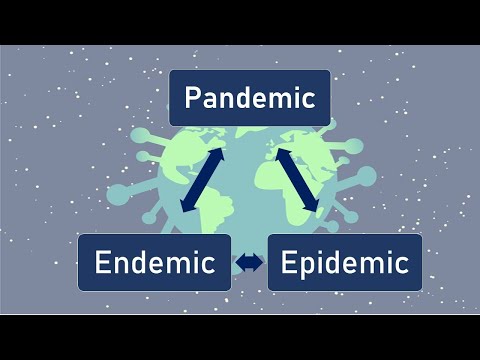 Pandemic vs Endemic vs Epidemic // Pandemic or Endemic or Epidemic