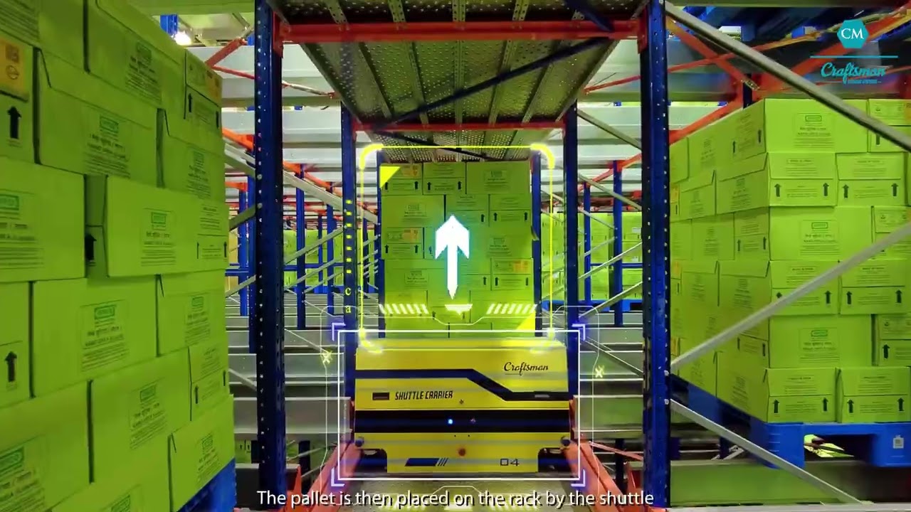 Multi Deep Shuttle ASRS with Robotic Palletizer/ De palletizer