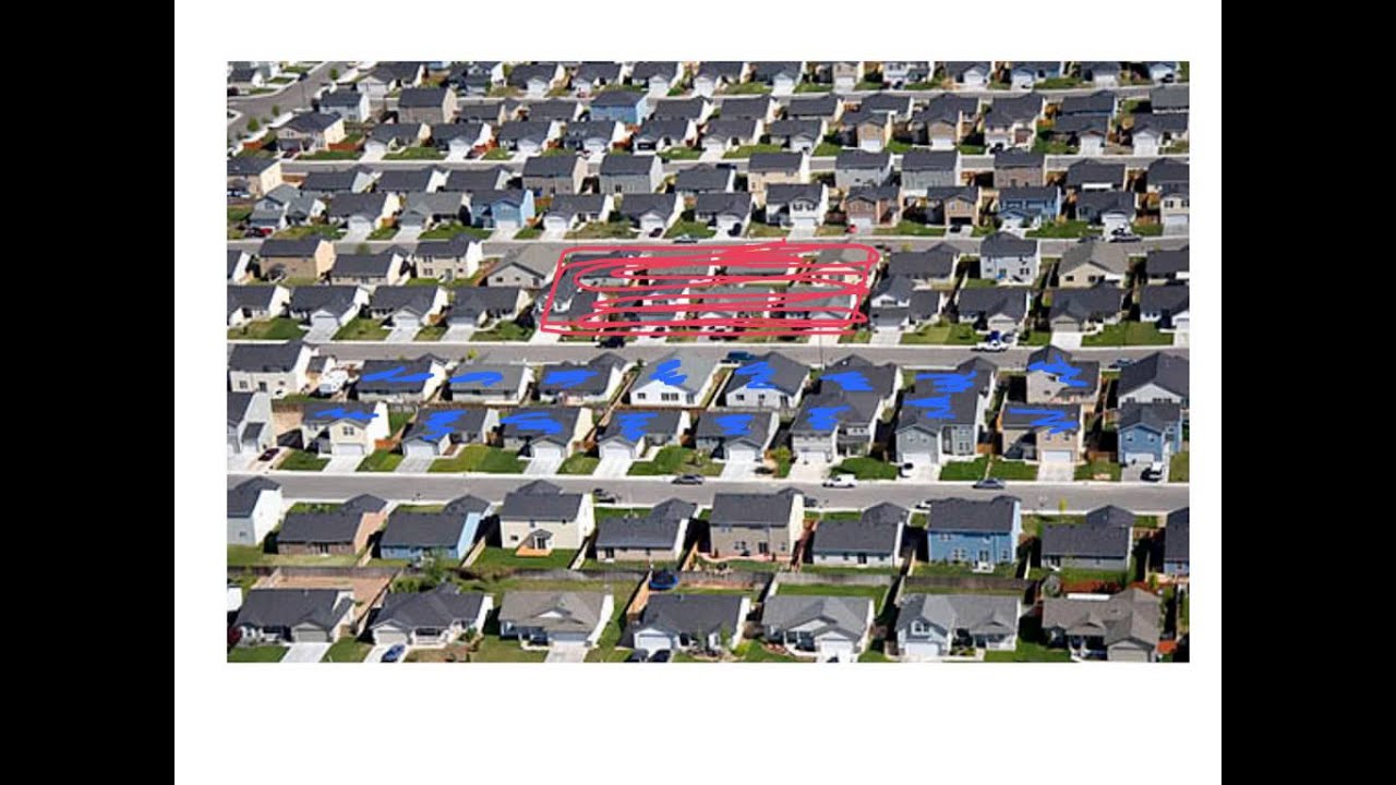 bacteria notes with Explain everything