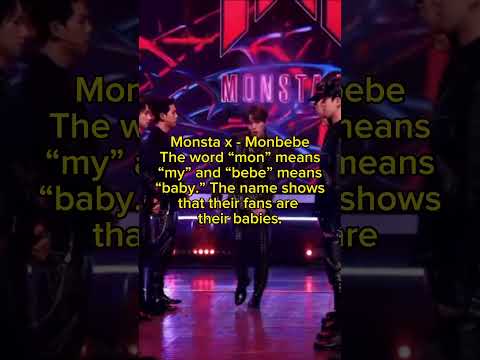 Best k-pop fandom names w/ meanings (acc to koreaboo)