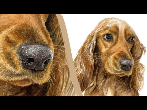 Paint a dog nose step by step