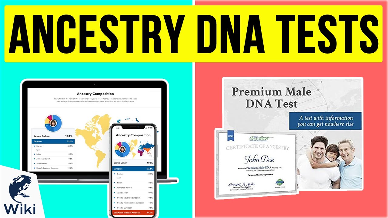 7 Best Ancestry DNA Tests 2020