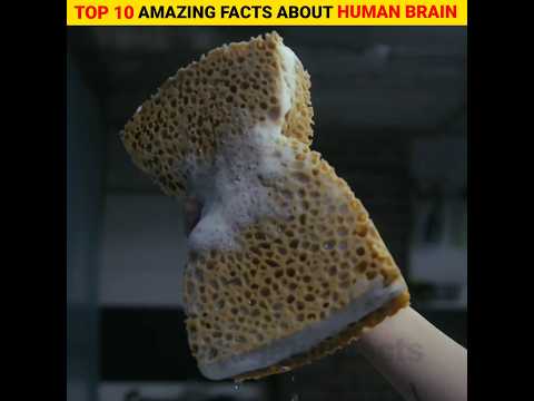 Top 10 amazing and intresting facts about human brain 🧠 | in hindi #fact #shorts