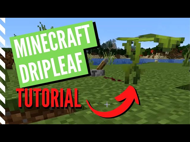 How to place small dripleaf in Minecraft 1.17 Caves & Cliffs update
