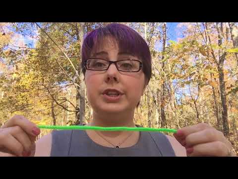 Teaching Philosophy – Cynthia Rosenfeld