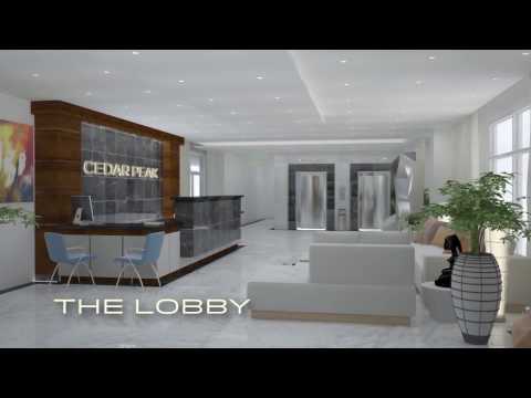 CEDAR PEAK CONDOMINIUM COMMERCIAL CENTER