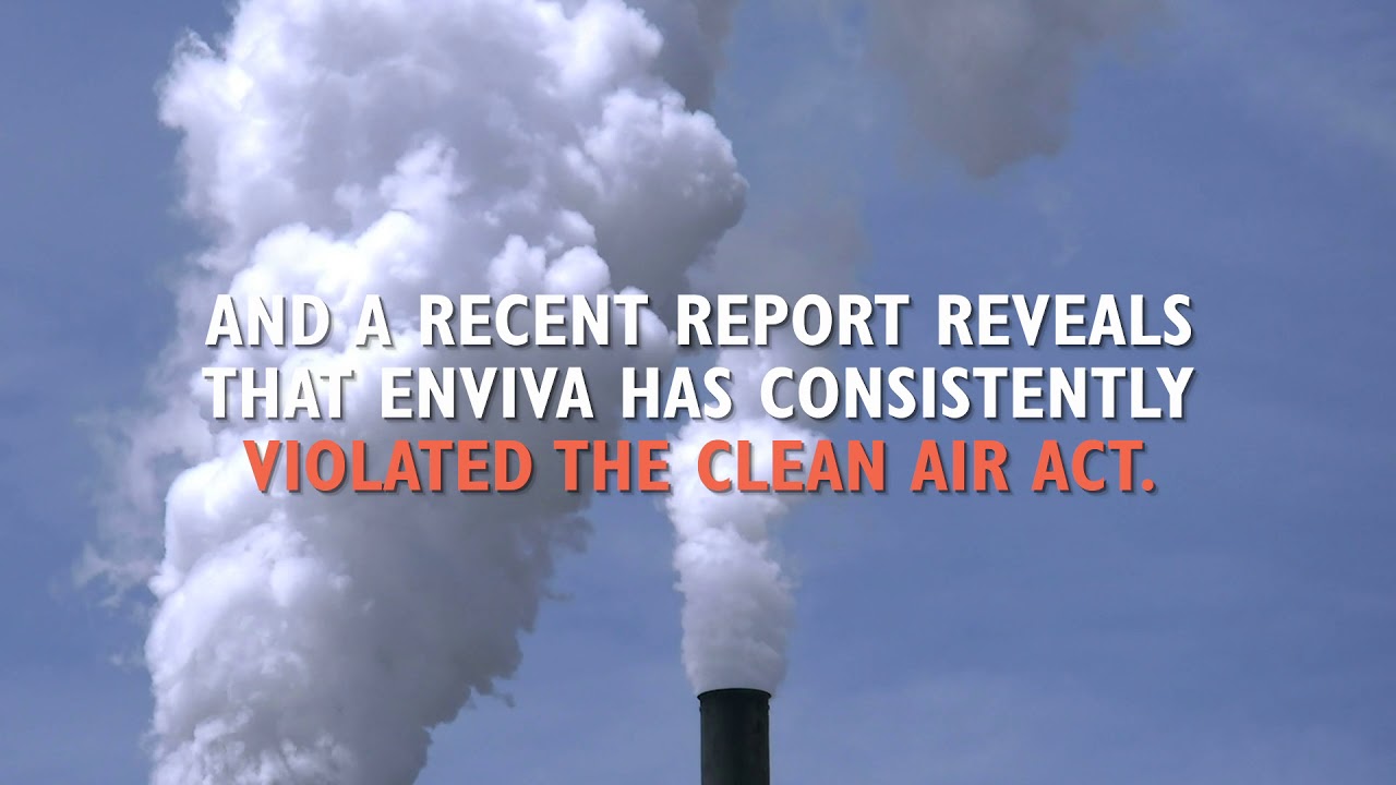 Stop the Industry That's Burning Our Forests