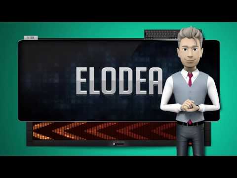 ELODEA - How to say it Backwards