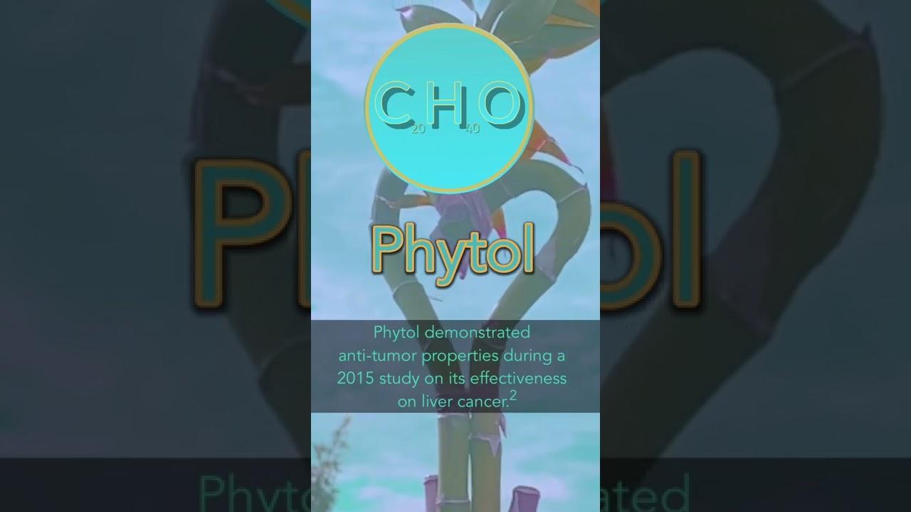 Phytol ~ Terpene Profile