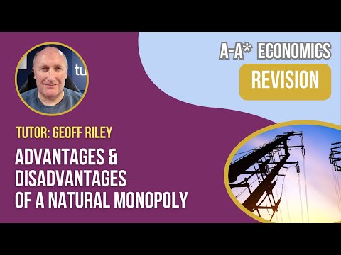 Natural Monopoly Explained: Why One Provider Might Be Best!