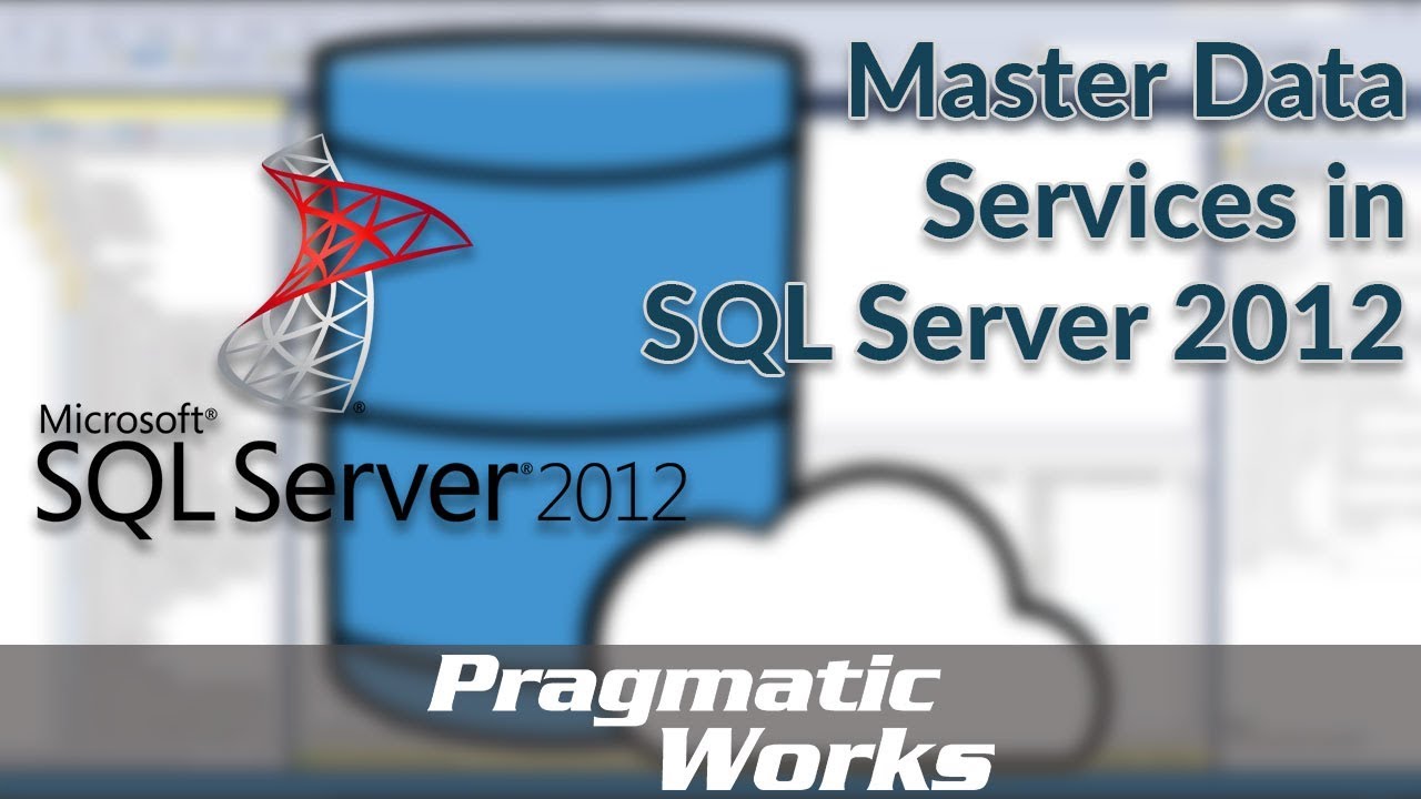 Master Data Services in SQL Server 2012