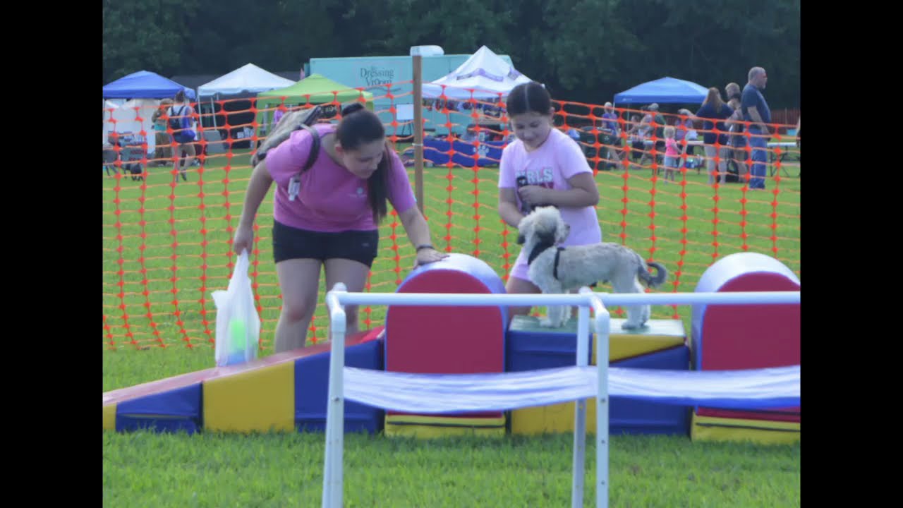 Pawsitive Attitudes @ Mutt Strut 2019