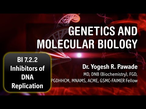 Inhibitors of DNA Replication - Genetics and Molecular Biology: BI 7.2.2