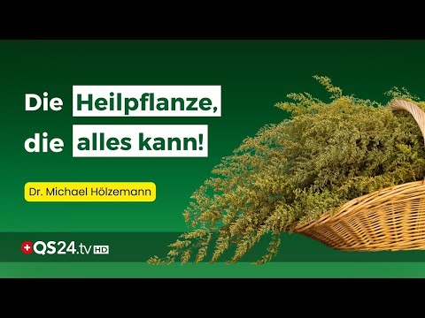 Artemisia Annua: Die "Wunderpflanze" gegen Malaria und Krebs | Erfahrungsmedizin | QS24