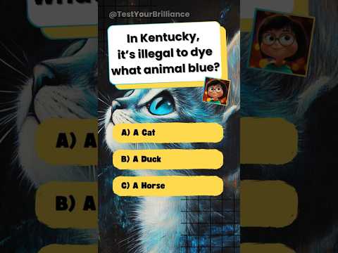 Think You Know the Law? Test Yourself with These Wacky Rules!