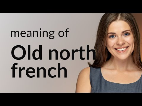 Old north french • OLD NORTH FRENCH definition