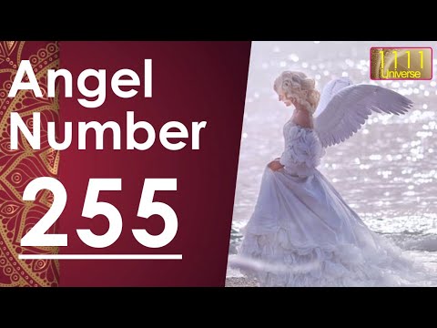 Meaning Of Angel Number255 | | Universe Message | Angel Guidance | 1111 Universe