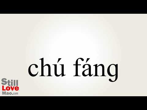 How to Say Galleys in Chinese