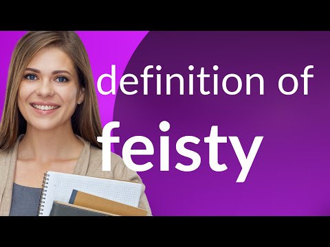 Feisty | FEISTY definition