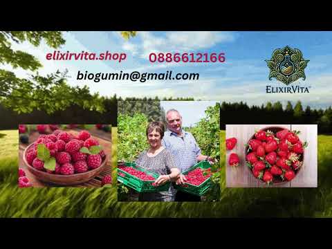 Fertility Elixir for Strawberries and Raspberries