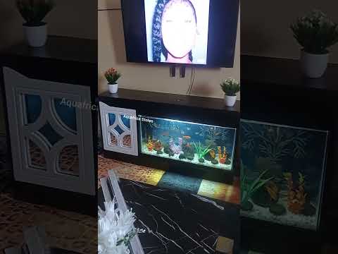 TV stand Aquarium Customized to ideal size, colour and design.. 0717687099.