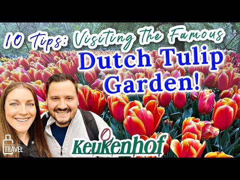 Visiting Keukenhof Garden: 10 PRO TIPS For Your Dutch Tulip Garden Daytrip! 🌷