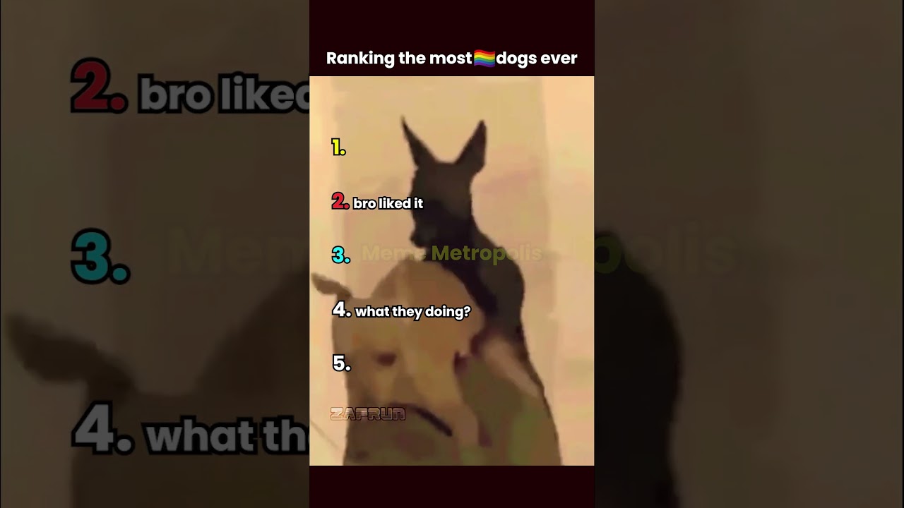Ranking most sus dogs ever