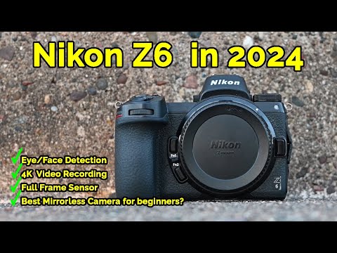 Nikon Z6: Still a relevant camera (1595)