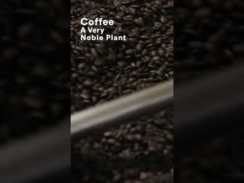 Coffee Sourcing at Whole Foods Market | Whole Foods Market
