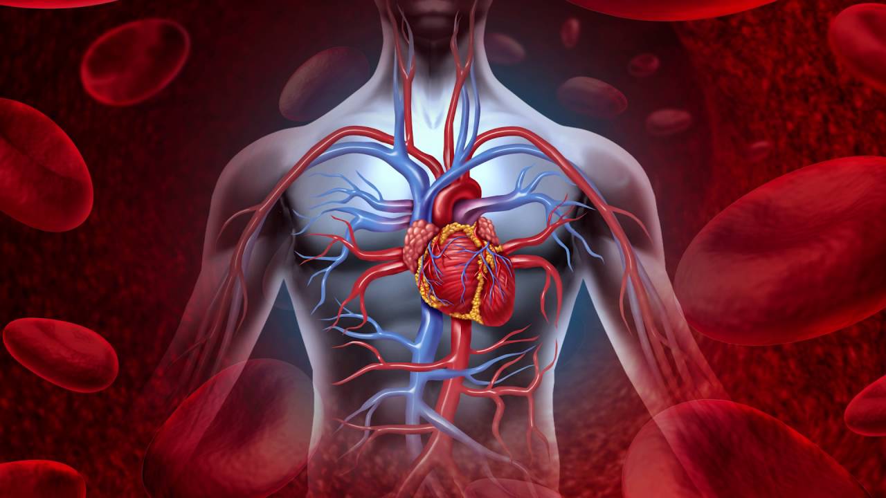 Blood Pressure Medications