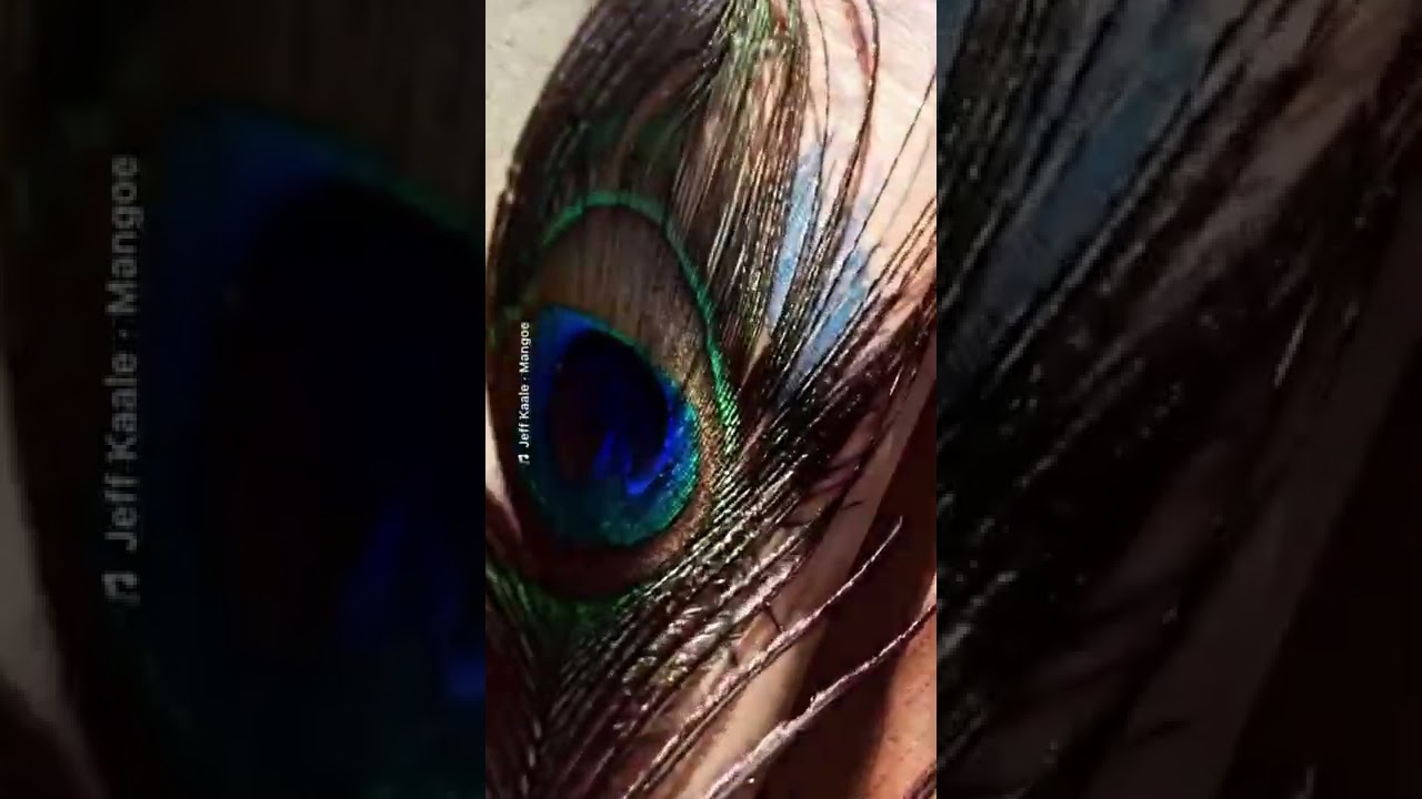 Peacock Feather Tattoo | Made by me (soul.of.artistry)