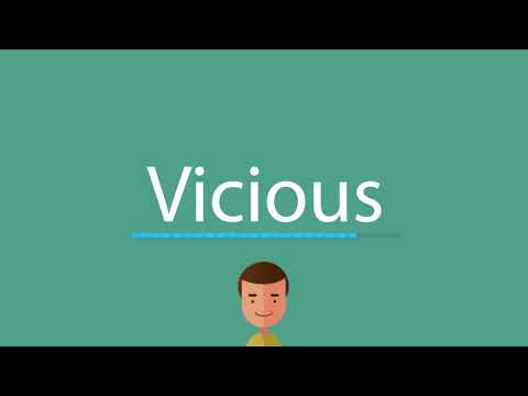 How to say Vicious