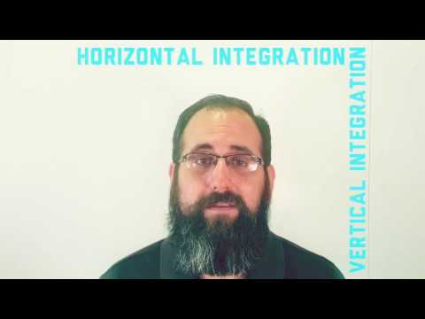 Vertical vs. Horizontal Integration