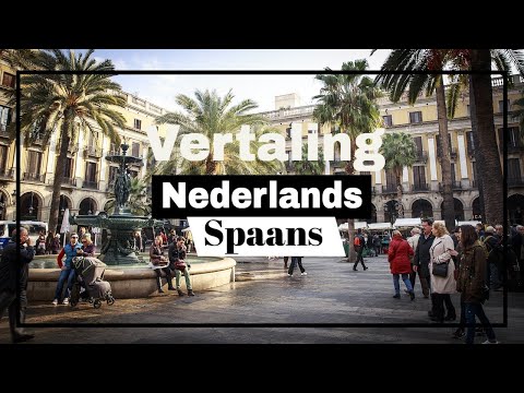 Vertaling Nederlands Spaans