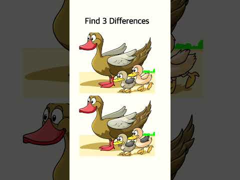 Can you find the hidden differences?